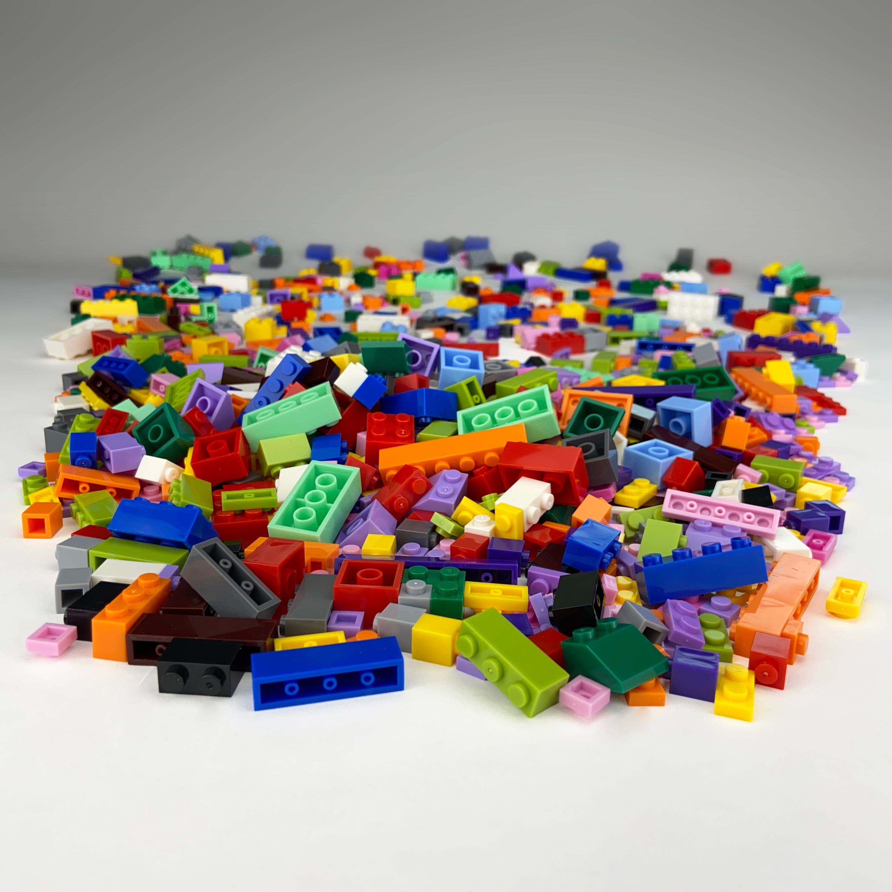 1000 Toy Bricks